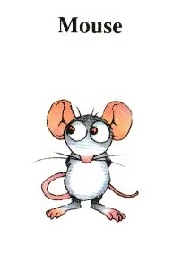 Mouse | Critter Wiki | Fandom