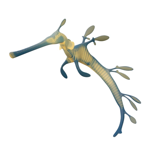 Weedy Sea Dragon | Little Dragon Studios Wiki | Fandom