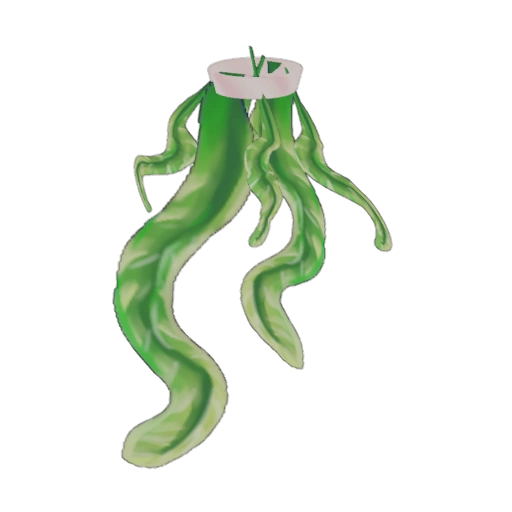 Pink Kelp Farmer Tail Bracelet | Little Dragon Studios Wiki | Fandom