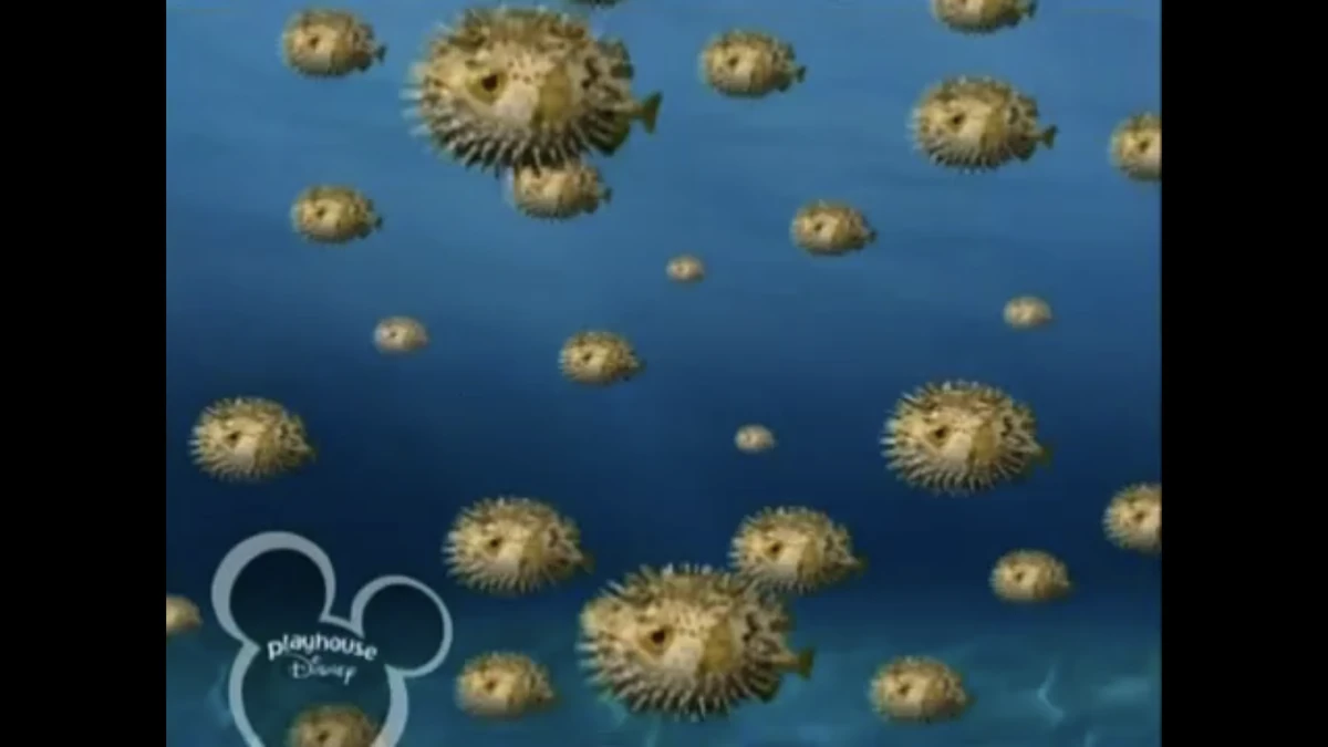 Puffer Fish | Little Einsteins Wiki | Fandom