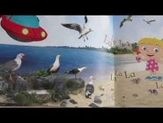 Mission: Ocean Rescue | Little Einsteins Wiki | Fandom