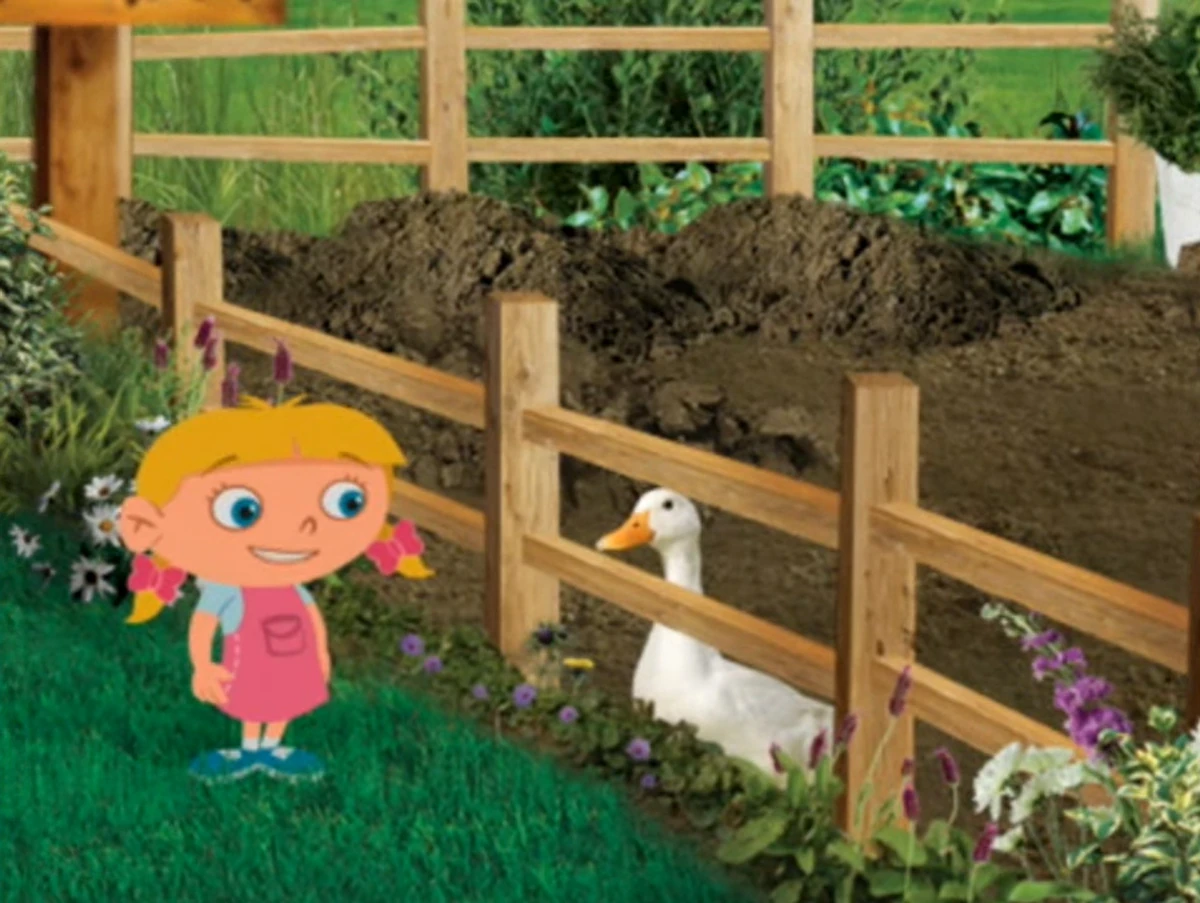 Duck | Little Einsteins Wiki | Fandom