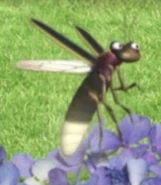 Rocket the Bug | Little Einsteins Wiki | Fandom