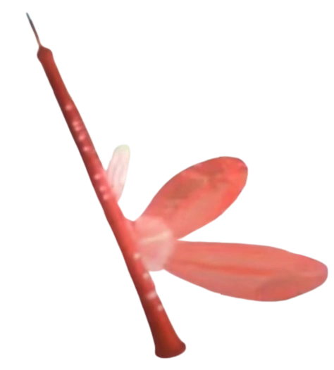 Oboe Fairy | Little Einsteins Wiki | Fandom