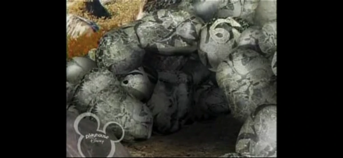 Ica Stone Tunnel | Little Einsteins Wiki | Fandom