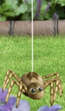 Baby Spider | Little Einsteins Wiki | Fandom