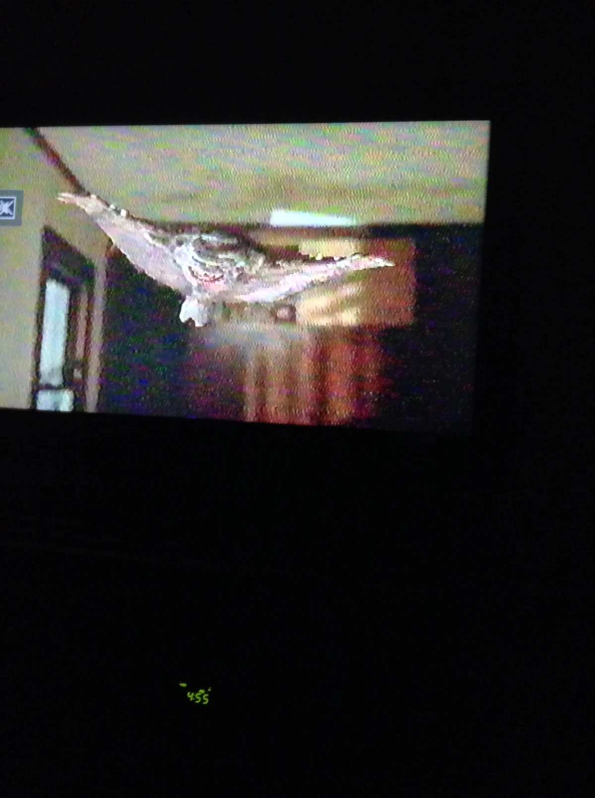 Flying Ghoulie | Ghoulies Wiki | Fandom