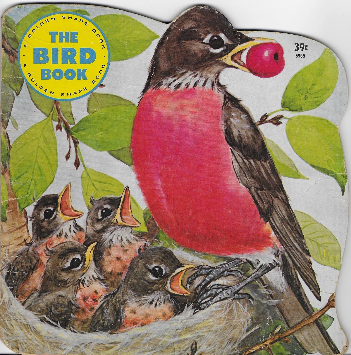 The Bird Book | Little Golden Books Wiki | Fandom