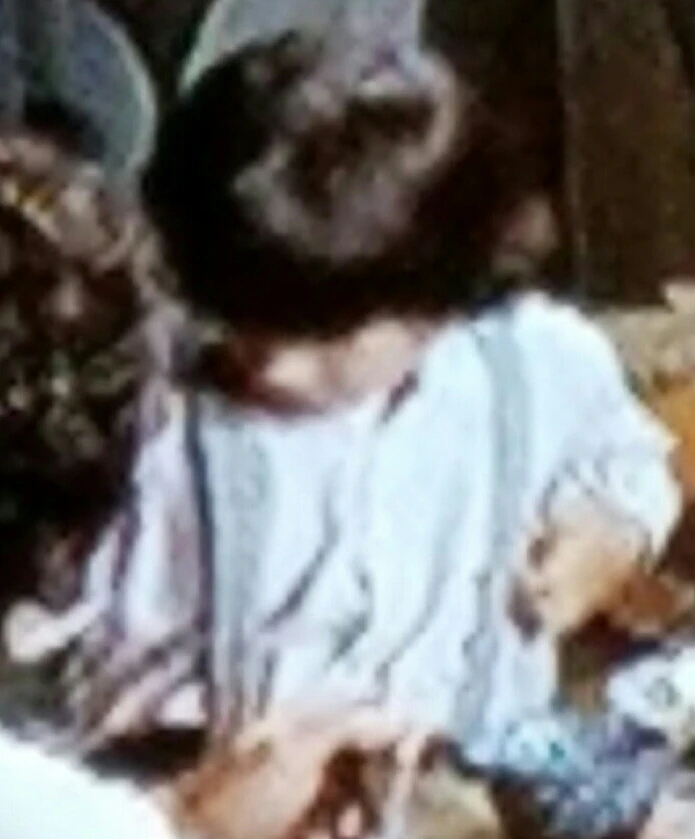 James Ingalls (Peter Ingalls son) | Little House on the Prairie Wiki ...