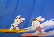 Mimi | Adventures of Little Koala Wiki | Fandom