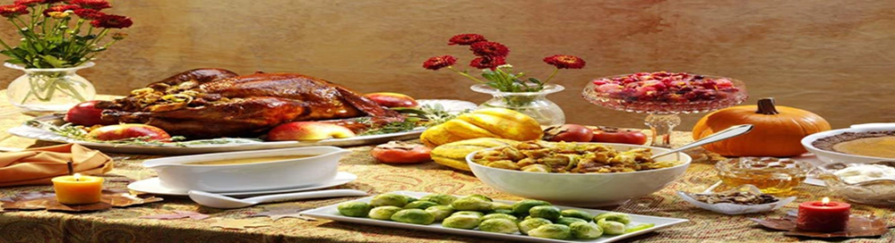 Killing Turkey | LittleLulu Project Studio Fanon Wikia | Fandom