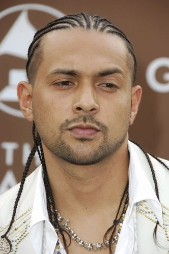 Sean Paul | Little Mix Wiki | Fandom