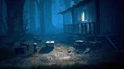 The Wilderness | Little Nightmares Wiki | Fandom