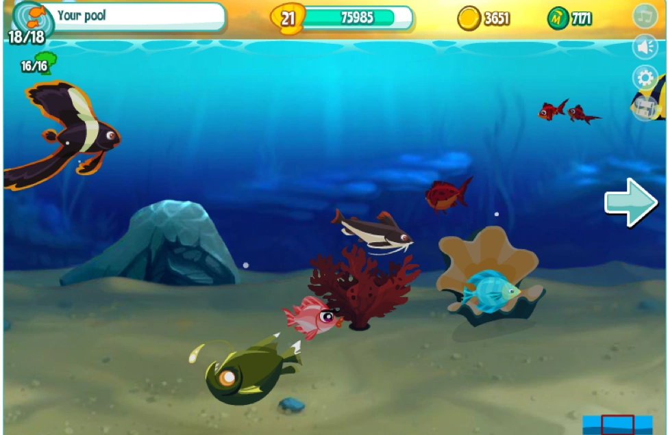 Expansion | Little Rock Pool Wiki | Fandom