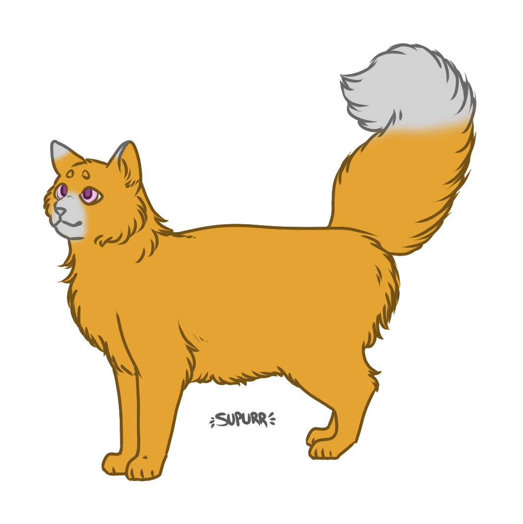 Morningstar | Little's Warrior Books Wiki | Fandom