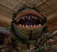 Audrey II | Little Shop of Horrors Wiki | Fandom