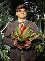 Seymour Krelborn | Little Shop of Horrors Wiki | Fandom