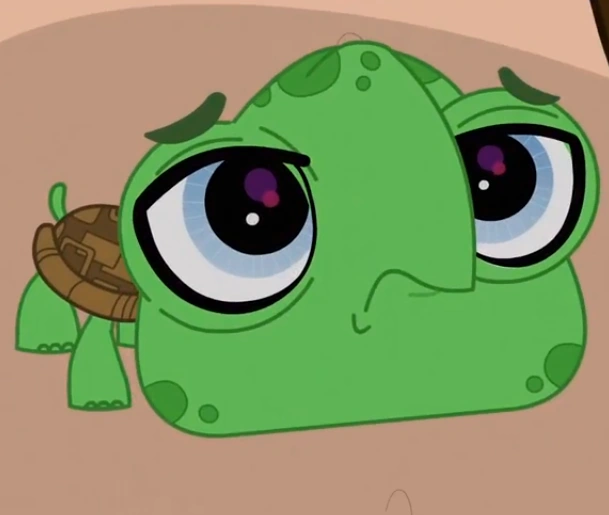 Turtle | Littlest Pet Shop 2 The Show Wiki | Fandom