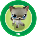 LPS Number 5 | Littlest pet shop collector's Wiki | Fandom