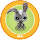 LPS Number 14 | Littlest pet shop collector's Wiki | Fandom
