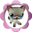 LPS Number 5 | Littlest pet shop collector's Wiki | Fandom