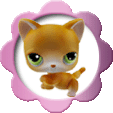 LPS Number 11 | Littlest pet shop collector's Wiki | Fandom