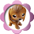 LPS Number 16 | Littlest pet shop collector's Wiki | Fandom