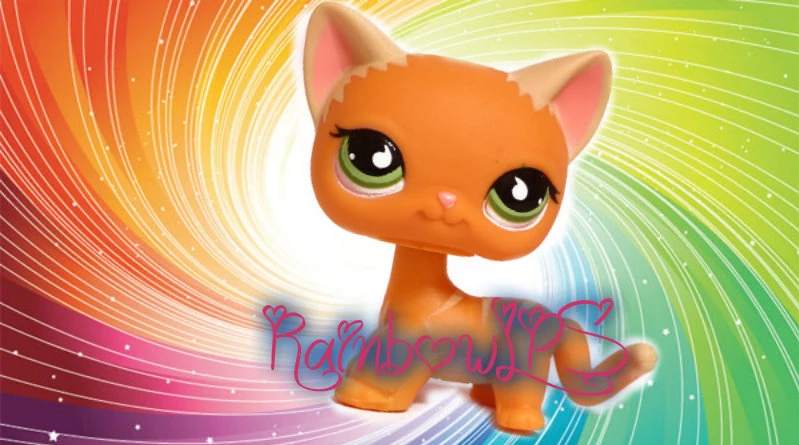 Administracja ♣ | LPS Wiki | Fandom