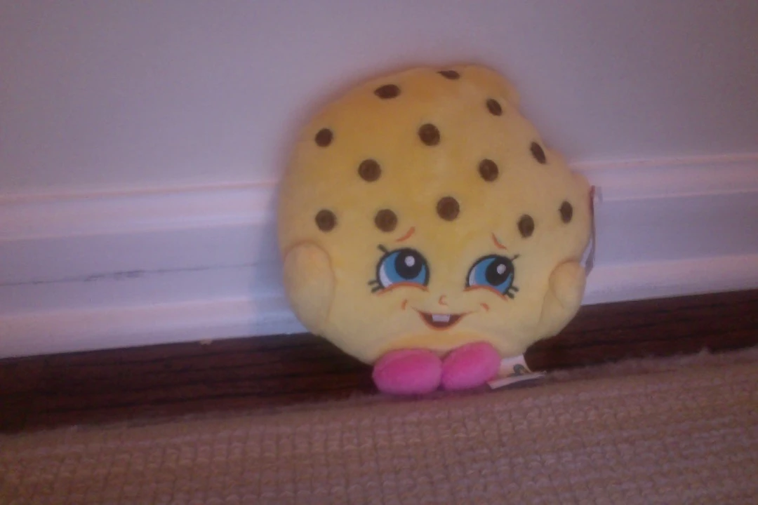 Kooky Cookie | Littlesurvivor Wiki | Fandom