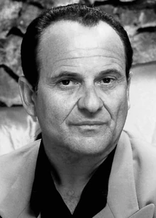 Joe Pesci | Live Action Wiki | Fandom