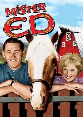 Mister Ed (1961) | Live Action Wiki | Fandom
