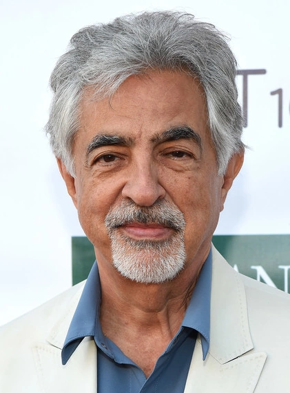 Joe Mantegna | Live Action Wiki | Fandom