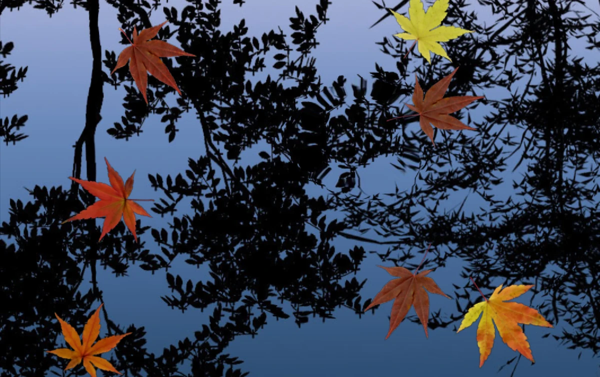 Water | Live Wallpaper Wiki | Fandom