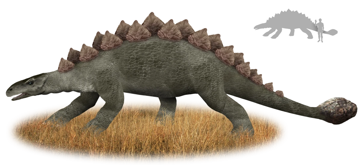 Muhuru | Living Dinopedia Wiki | Fandom