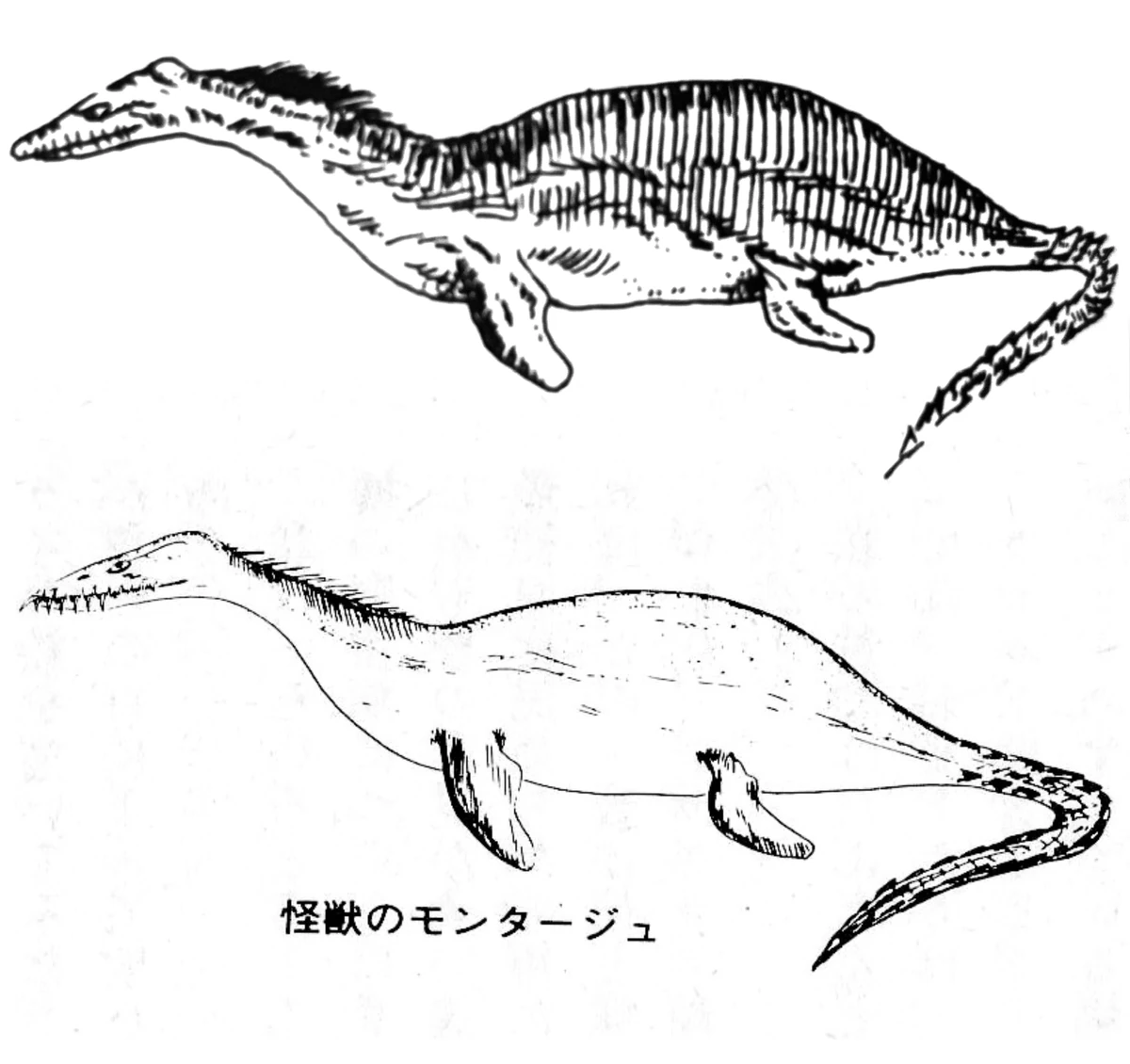 Migo | Living Dinopedia Wiki | Fandom