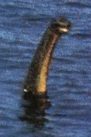 Loch Ness Monster | Living Dinopedia Wiki | Fandom