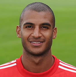 David N'Gog | Liverpool FC Wiki | Fandom