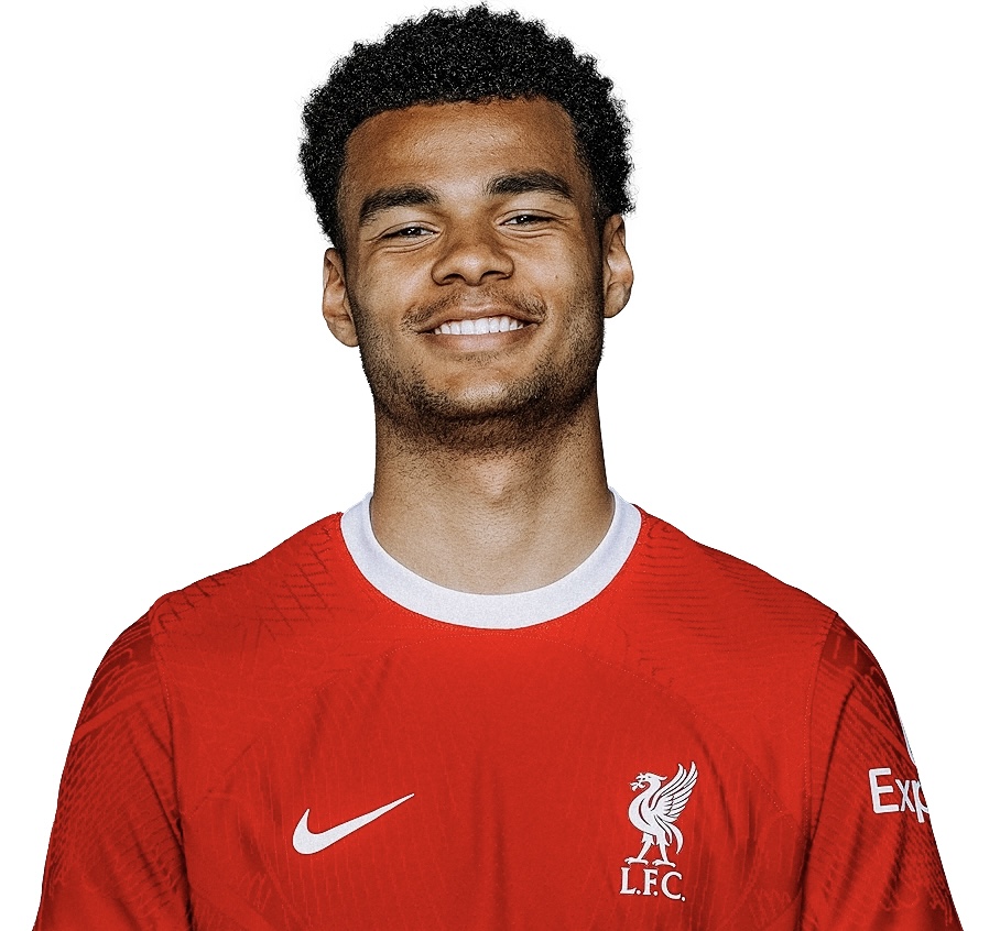 Cody Gakpo | Liverpool FC Wiki | Fandom