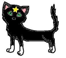 Shadowstar | Living In The Wild Wiki | Fandom