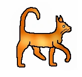 Firestar/Fanpage | Living on our own Wiki | Fandom