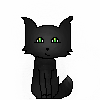 Hollyleaf/Fanpage | Living on our own Wiki | Fandom