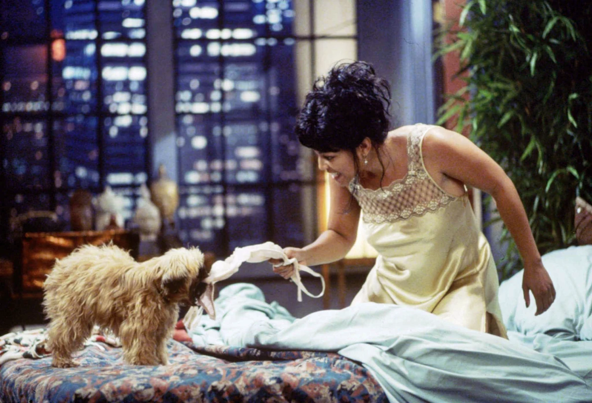 Reconcilable Differences | Living Single Wiki | Fandom