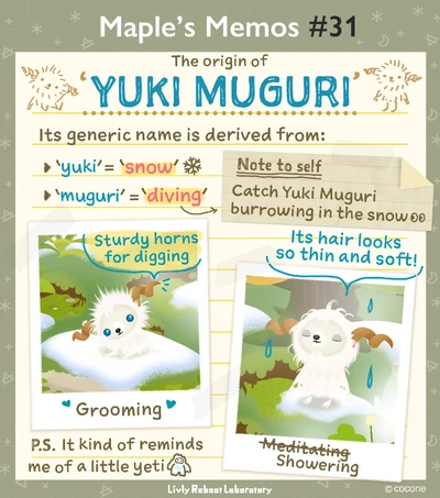 Yuki Muguri | Livly Island (New Edition) Wiki | Fandom