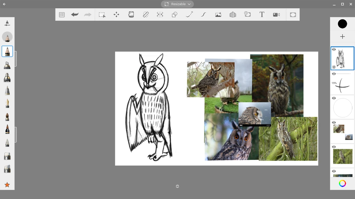 Owlics | LI:WOP x TFW:AC Wiki | Fandom