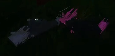 Combat | Lizard game Wiki | Fandom