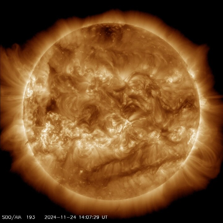 Lizard-953-A | Lizardpeida Wiki | Fandom