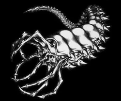 Malach | Wiki LJSmith | Fandom