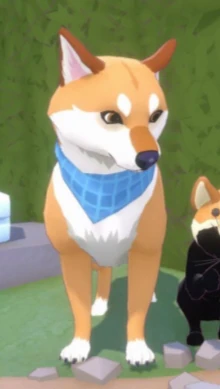 Shiba | Little Kitty, Big City Wiki | Fandom
