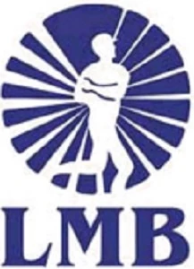 Liga Mexicana de Béisbol | Wikia LMB | Fandom