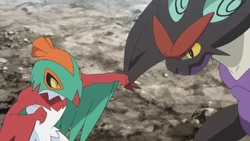 Ash's Hawlucha | LMT's Personal Wiki | Fandom